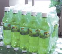 China 220V Automatic Bottle Packing Machine No Electrostatic Interference Stainless Steel for sale