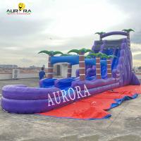 China Purple Inflatable Playground Slide For Schools And Day Cares for sale