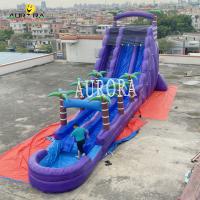 China Purple Inflatable Playground Slide For Schools And Day Cares for sale