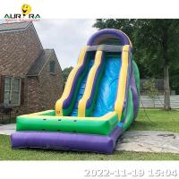 China PVC Tropical Inflatable Slide Double Lane Inflatable Water Slide With Pool for sale