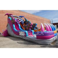China Inflatable Water Slides PVC Customization Slide Lake For Adults With Pool for sale