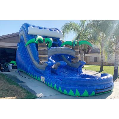 China Grade Inflatable Water Slide With Bounce Castle For Kids And Adults With Pool for sale