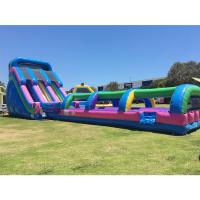 China Water Inflatable Slide Jumping Slide Party Pvc 18ft Dolphin Water Slide For Pool for sale