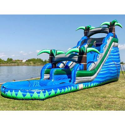 China Custom Color Giant Inflatable Double Slip And Slide With Pool For Adult And Kids for sale