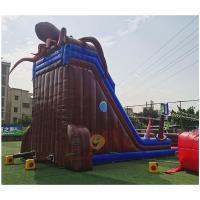 China Octopus Inflatable Water Slide Small Pool Backyard Inflatable Water Slide For Sale for sale