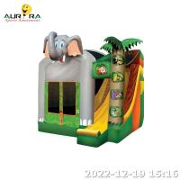 China OEM ODM Outdoor Inflatable Bounce House 0.55mm PVC Inflatable Bouncer Combo for sale
