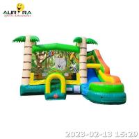 China OEM ODM Outdoor Inflatable Bounce House 0.55mm PVC Inflatable Bouncer Combo for sale