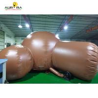 China Transparent Inflatable Bubble House Tent 12ft Customized Color for sale