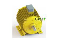 China Brushless Low Rpm Electric Generator 5kw 50kw 500kw IP54 Protection Grade for sale