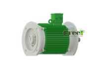 China Low Rpm 5kw 10kw 220v Permanent Magnet Synchronous Generator SKF Bearing for sale