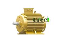 China Free Energy Electric Permanent Magnet Generator SKF Bearing 5kw 220v for sale
