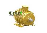 China Free Energy Electric Permanent Magnet Generator SKF Bearing 5kw 220v for sale