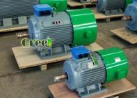 China 3 Phase AC Free Energy 1MW 2MW 3MW 5MW Low Speed Permanent Magnet Motor for sale