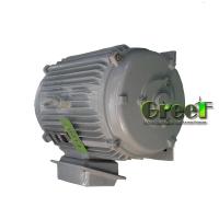 China Electricity Generation Permanent Magnet Generator With Rated Rotate Of 20rpm-3000rpm for sale