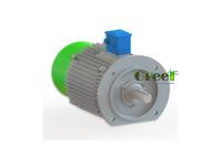 China Horizontal 20rpm SKF Bearing Permanent Magnet Alternator for sale