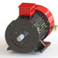 China Cold Rolled Silicon Steel Sheet Iron Core Permanent Magnet Alternator for Industrial for sale