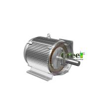 China Customized Magnet Size Permanent Magnet Generator with Insulating Resistance of 500Vdc for sale