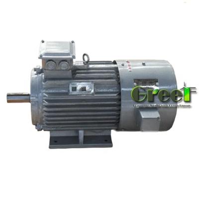 China Cold Rolled Silicon Steel Sheet Alternator With Magnet / Permanent Magnet Generator 95% Efficiency for sale