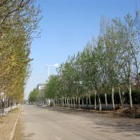 China Horizontal Wind Turbine Magnet Generator 10000 Watt 10KW 5KW for sale