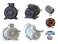 China Low Rpm Permanent Magnet Generator Customized 5kw 10kw 50kw 200kw with 3 Years Warranty for sale