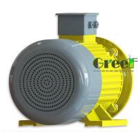 China 50HZ and 60HZ Frequency Permanent Magnet Motor with 100Mohm Min 500Vdc Insulating Resistance and 6 Poles for Industrial Systems for sale