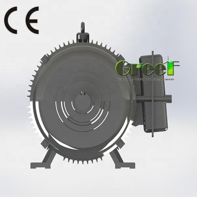 China SKF Bearing Brushless Permanent Magnet Motor Incorporating NdFeB Magnet Type Ideal for Renewable Energy Robotics and Industrial Drives for sale