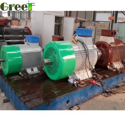 China IP54 Rated Permanent Magnet Motor with 85% Efficiency and 0-3000 RPM Speed Range for Heavy Duty Applications for sale