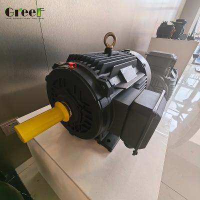 China Customizable Permanent Magnet Motor with Insulating Resistance 100Mohm Min 500Vdc, Insulation Class F, and 0-3000 RPM Speed Range for sale