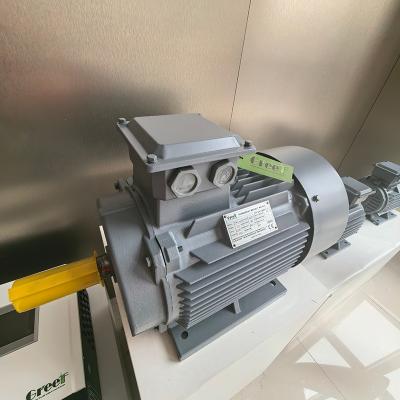 China IP54 Rated Flange Mount Permanent Magnet Motor with 0-3000 RPM for Industrial Applications for sale