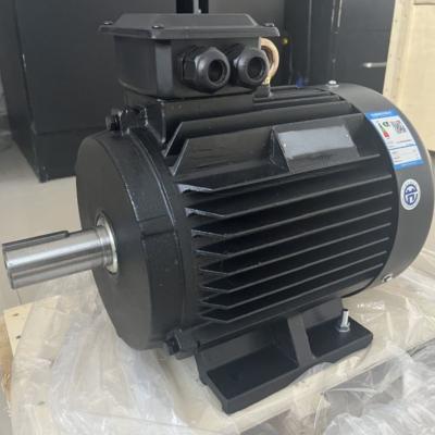China Customization Number Of Poles Magnetic Motor Voltage Rating 24V 1140V Compatible With Wide Range Of Industrial Equipment for sale