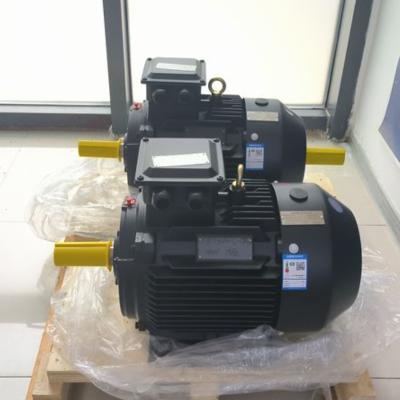 China 750W-5MW Rated Power Permanent Magnet Motor with 0.5 Nm - 20 Nm Torque and >95% Efficiency for Industrial Automation for sale
