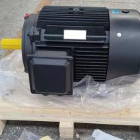 China IP54 Permanent Magnet Motor Featuring Cold Rolled Silicon Steel Sheet Iron Core Fan Water and Self Cooling for Industrial Performance for sale