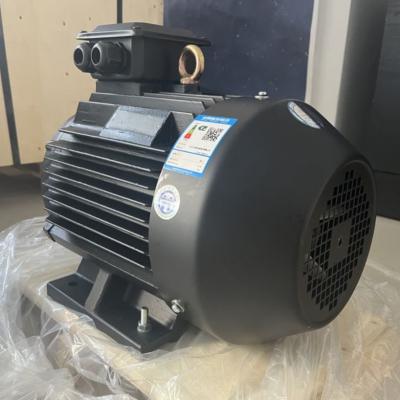 China 750w to 5Mw Brushless Permanent Magnet Motor Offering Speed Range 750 to 3000rpm Ideal for Energy Motor Systems and Drives for sale