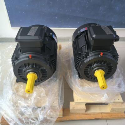 China Speed 750 to 3000rpm Permanent Magnet Motor Rated Power 750w to 5Mw Cooling Method Fan Water or Self Cooling Engineered for Performance for sale