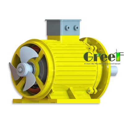 China High Efficiency Permanent Magnet Motor with Max 120℃ Magnet Temperature and 100Mohm Min Insulating Resistance for Renewable Energy Systems for sale