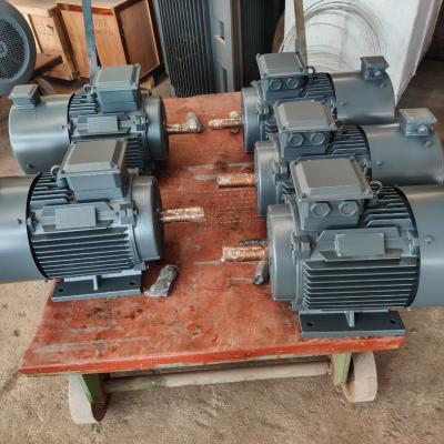 China Lower Temperature Rise Permanent Magnet Synchronous Motor with F Class Insulation and IP55 Protection for sale