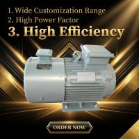 China 20KW 3 Phase AC Permanent Magnet Generator with 100% Copper Winding and IP54 Protection for sale