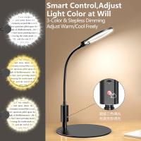 China Detachable 3X+6X Illuminated Screen Magnifier Desk Lamp with Acrylic Lens for Reading for sale