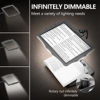 China Desktop Reading Hobby Led Magnifying Glass Lens Professional Wholesale Magnifying Glass With Light for Older for sale