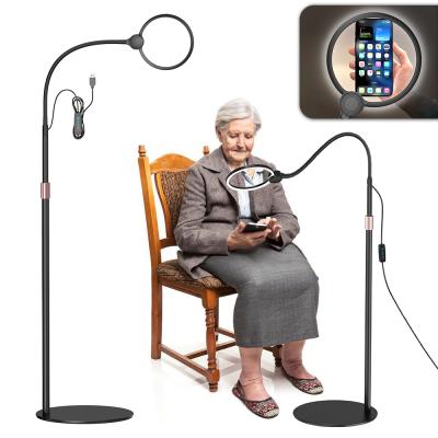 China Floormounted Magnifier Offering High Transparency Lens and Hd Led Light Source with Stepless Dimming and Portable Detachable Components for sale