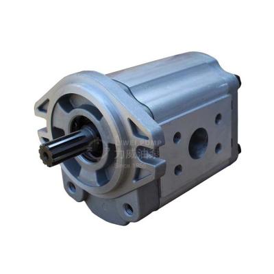 China Rotary Forklift Hydraulic Pump Spare Parts FD30-11 4D95L 10 Teeth Left Rotation 37B-1KB-2030 for sale