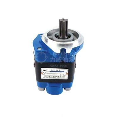 China Original Forklift Hydraulic Pump Gear SGP1A32D2HH1-L025C for FD20-30T3CS-A CA490 6 Teeth Left Rotation for sale