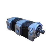 China Two Stage Forklift Hydraulic Pump 13 Teeth Left Rotation for FG35-40N7 FG35-40T8 TB42 124W7-10301 for sale