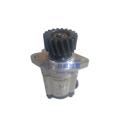 China HEWEI QC22/17-WD12-NJ Power Steering Pump 19 Teeth for Chinese Trucks 3407TFW111-010 for sale