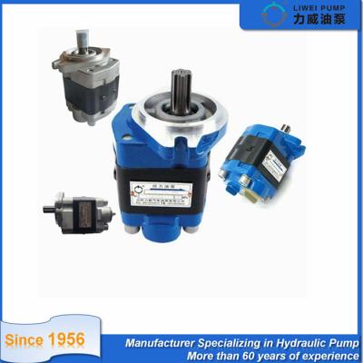 China Forklift Spare Parts Hydraulic Pump F32 Series for TCM Helie Baolie 4JG2 CA498 for sale