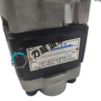 China Bidirectional Gear Forklift Hydraulic Pump 91E71-10200 ODM for sale