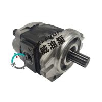 China Bidirectional Gear Forklift Hydraulic Pump 91E71-10200 ODM for sale