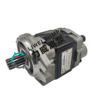 China LIWEI Forklift Hydraulic Pump 91E71-10200 for FD20-30 2.0-3.0 Ton for sale