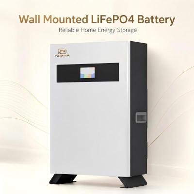 China 5.12kWh 51.2V Wall Mounted LiFePO4 Battery for Scalable Solar ESS for sale