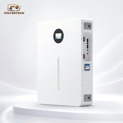 China 10.24kWh 51.2V 200Ah Wall Mounted LiFePO4 Solar Storage Battery with Parallel Expansion for Residential Energy Storage for sale
